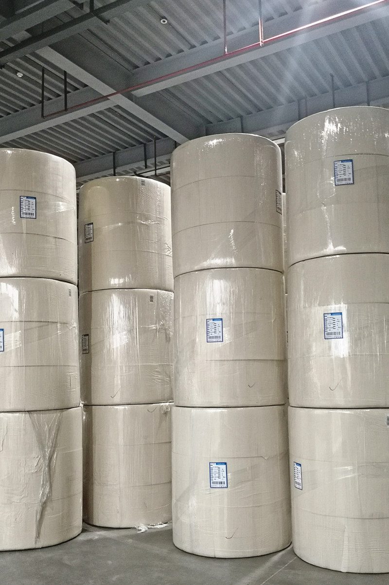 Why Bamboo Tissue? Sustainability & Benefits | Newland Bamboo