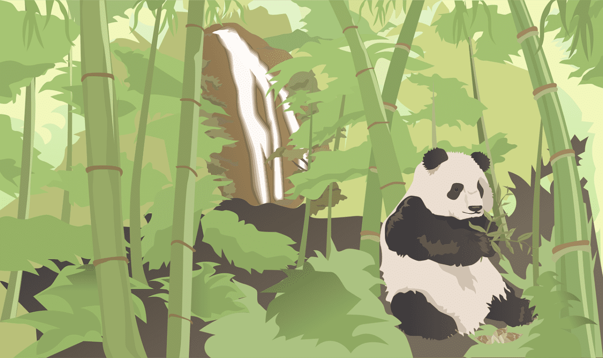 Why Do Pandas Eat Bamboo? Learn About Their Diet, Evolution & Nutrition