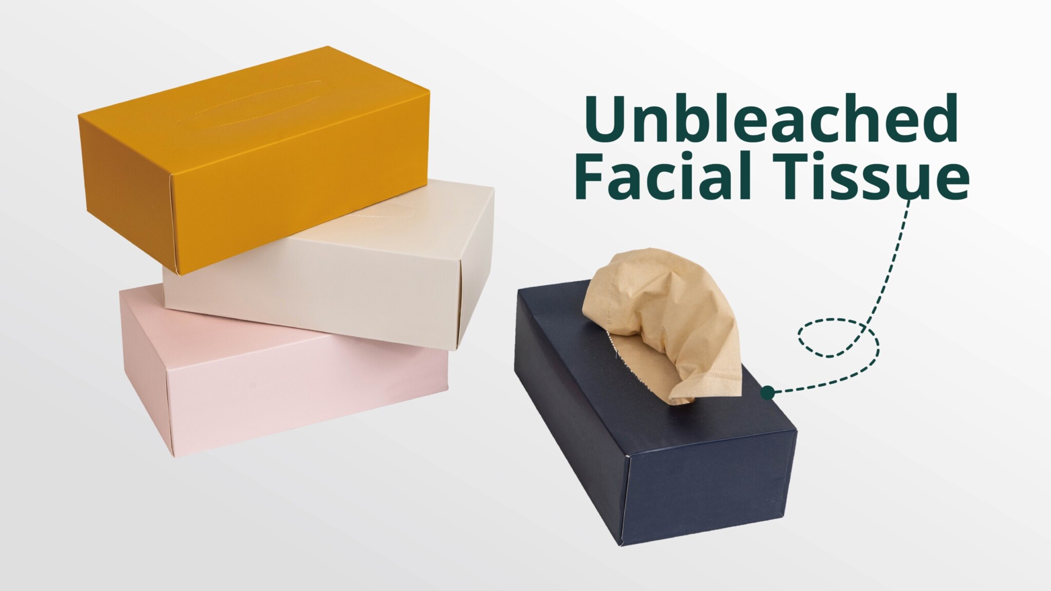 Bamboo Facial Tissue Manufacturer & Wholesale | Newland Bamboo