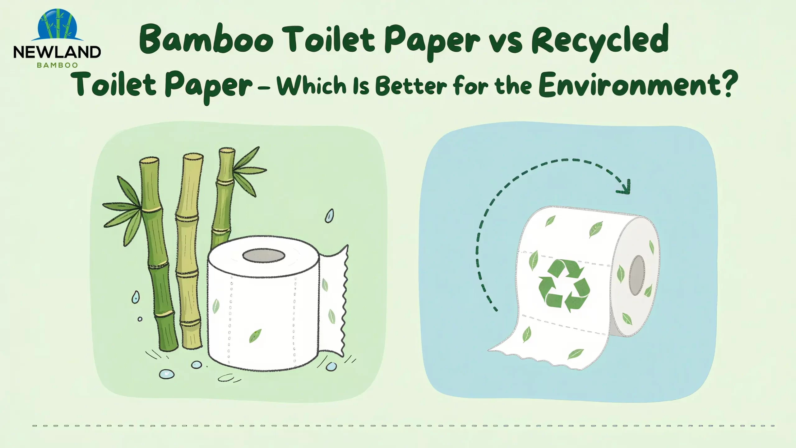 Bamboo Toilet Paper vs Recycled Toilet Paper | Guide