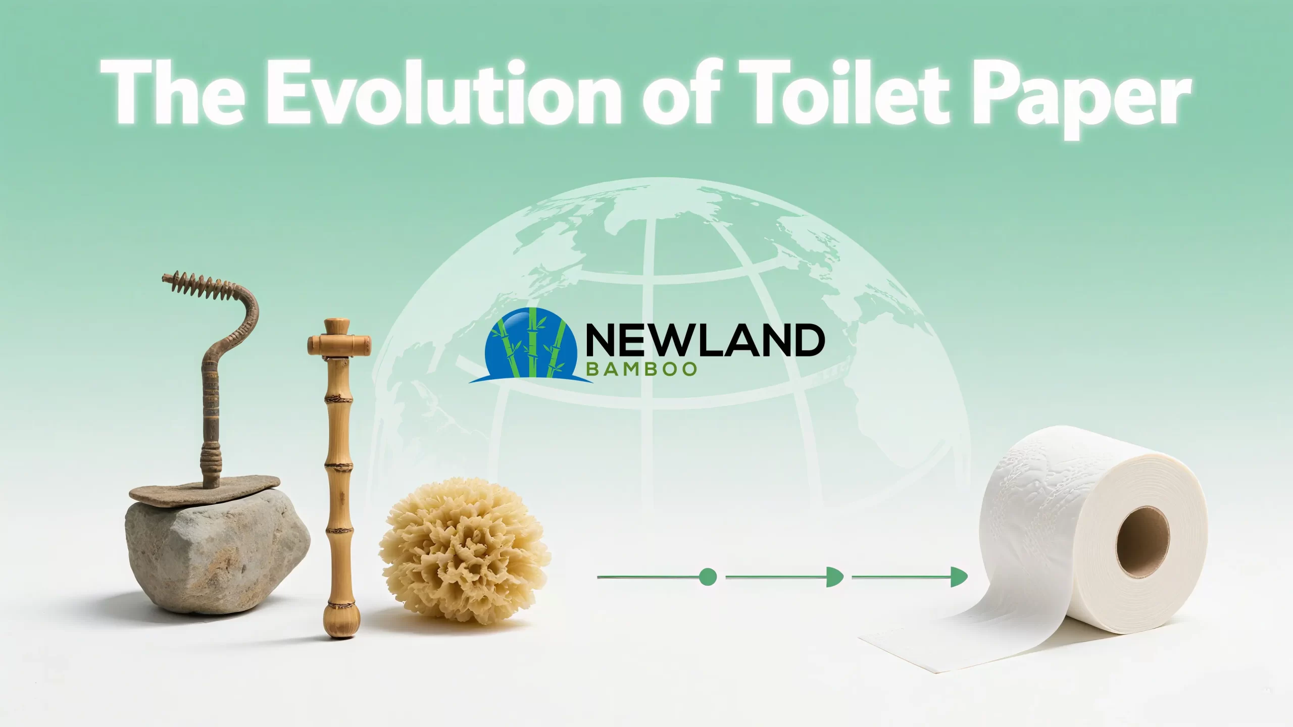 Toilet Paper Evolution: Why Buyers Now Choose Bamboo Tissue